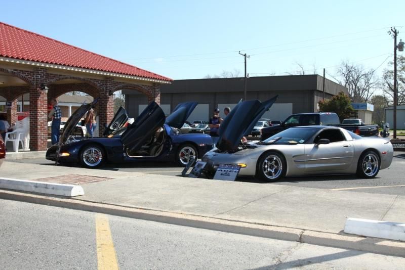 Gator-Rama Car Show Pics...Congrats to Blue Dragon !! - CorvetteForum ...