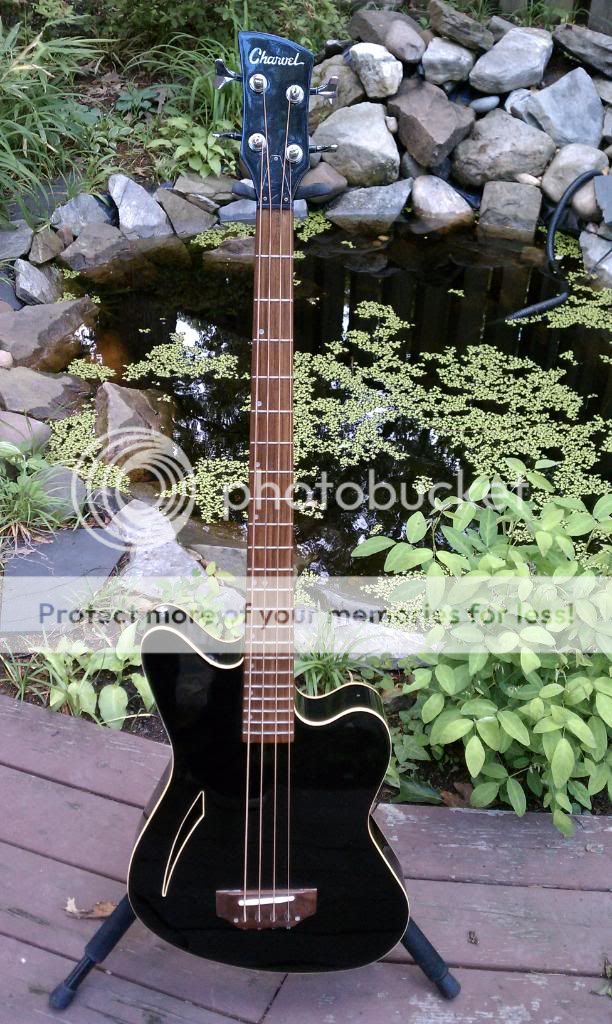 NOABD! (New Offset Acoustic Bass Day!) - OffsetGuitars.com