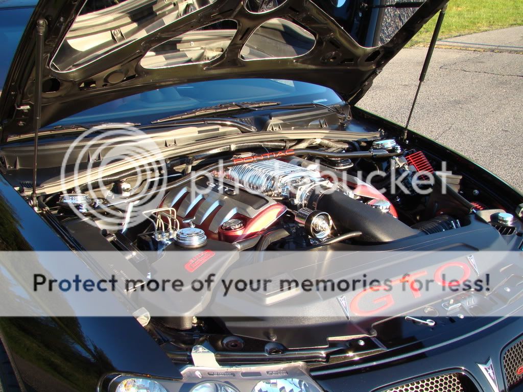 engine dress up kit? | LS1GTO Forums