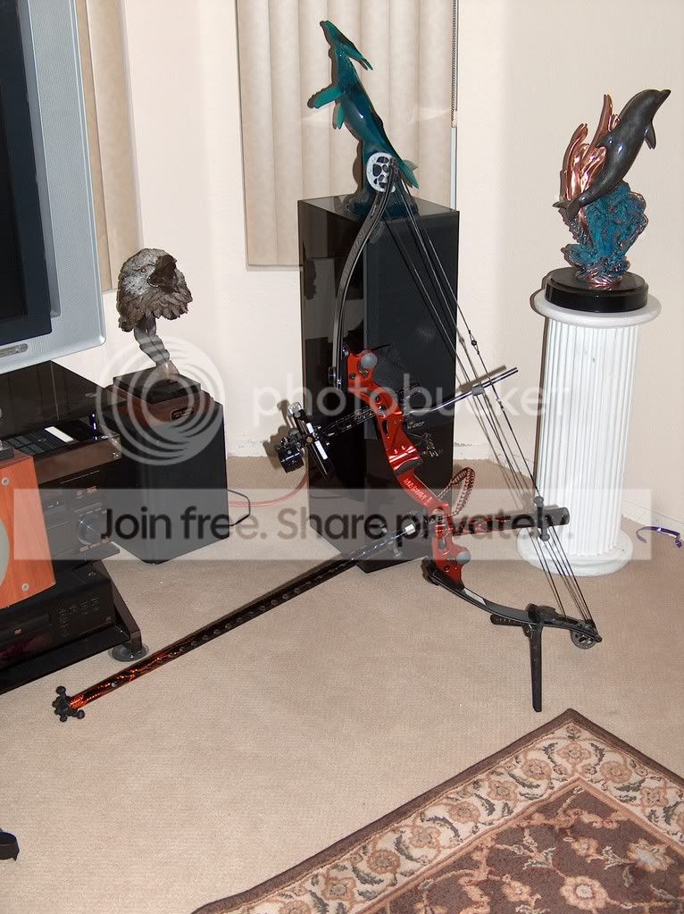 Target Setups | Archery Talk Forum
