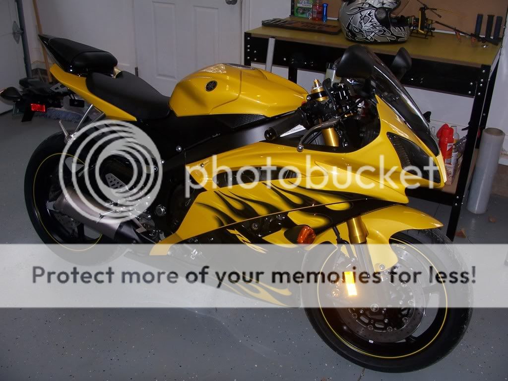 2008 R6 limited edition 500 miles ,8900 | Yamaha R6 Forum: YZF-R6 Forums