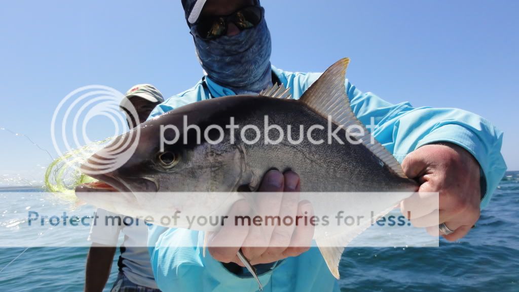 Panama - Tuna Coast - March 2011 | BASS BARN