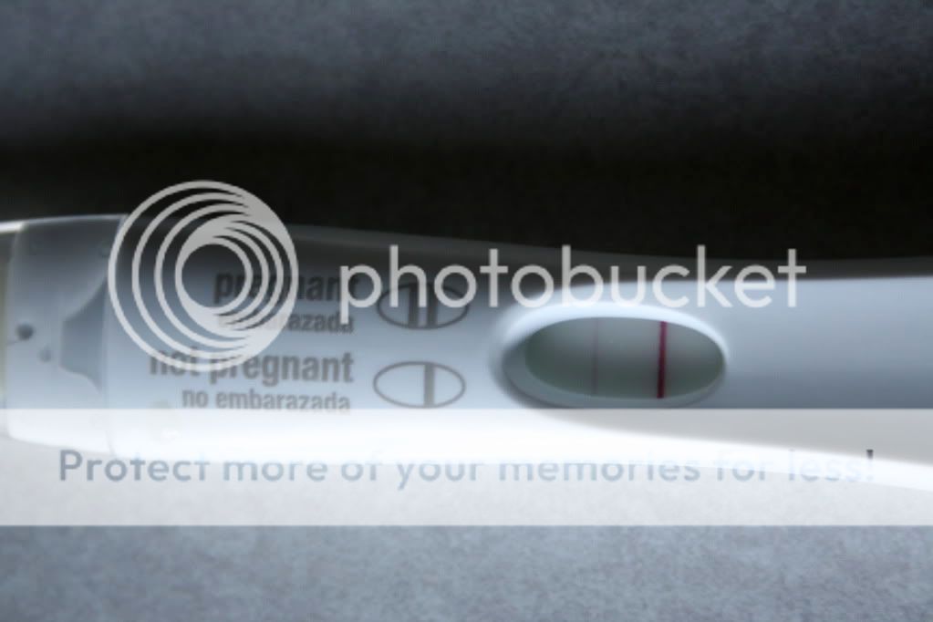 ((LINK)) 6dp5dt-bfp-twins